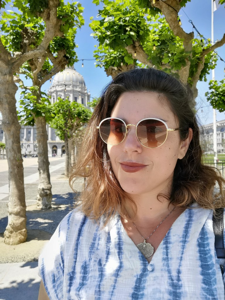 Who is the Single Traveller? - The Single Traveller